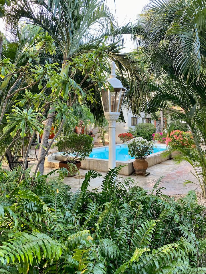 Room 8 Wonders Boutique Hotel Aruba - Aruba