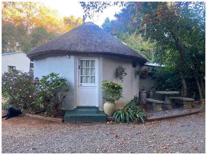 The Pecan Nut At Westfield Farm - Mooi River