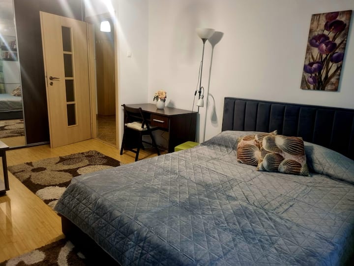 Charming Apartment In City Center - Roumanie
