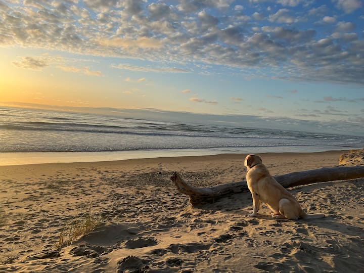 Beach Front And Bay View! Pets Welcome! - Waldport, OR