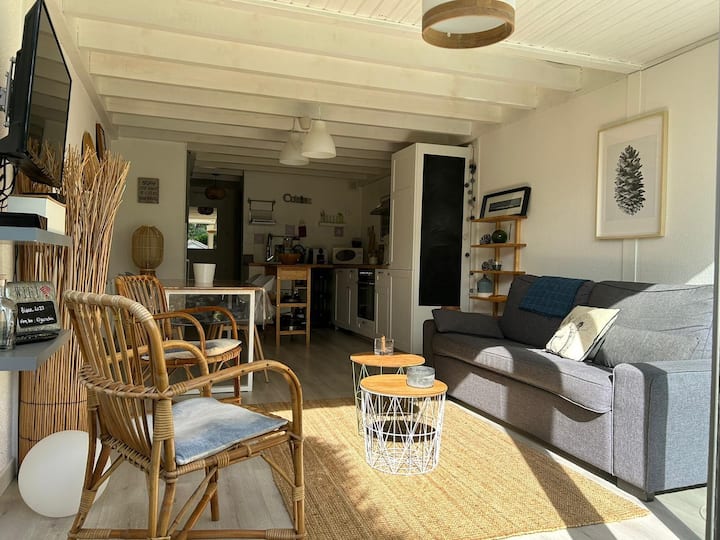 Biscarrosse Lac Joli Pavillon Mitoyen Avec Jardin - Biscarrosse