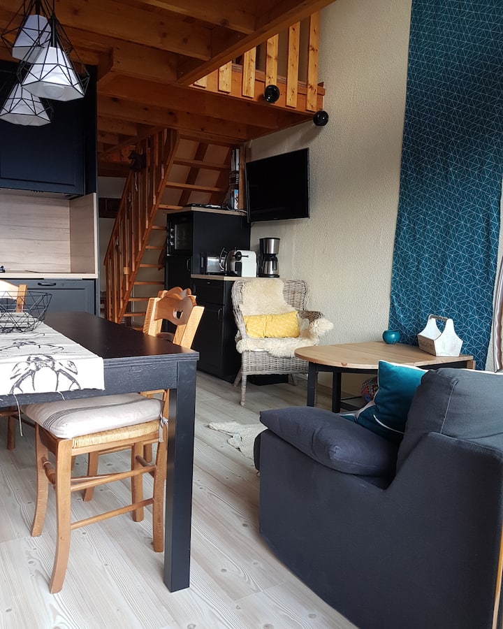 Le Duplex Des Airelles   Oz En Oisans Alpes D Huez - Vaujany