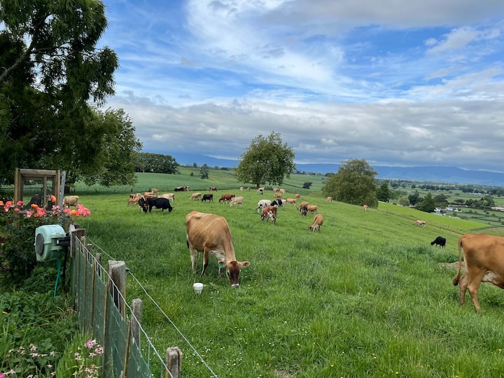 Hinuera Valley View Bnb. Next Door To Hobbiton! - Matamata