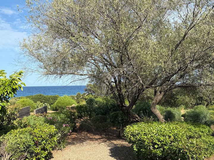 Duplex Pieds Dans L'eau Grande Vue Mer - Zonza