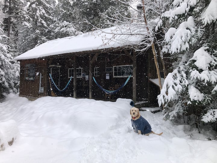 Cabin-7 Min To Ski Stratton-woodstove-views-dog Ok - Jamaica, VT