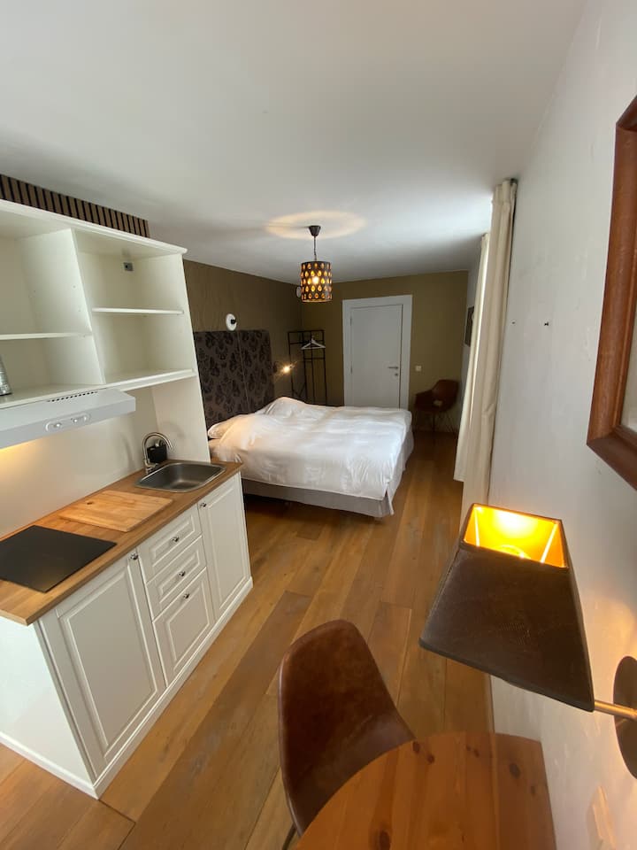 Hotelstudio, Keuken , Privé Badkamer, Tuin, - Oudenaarde