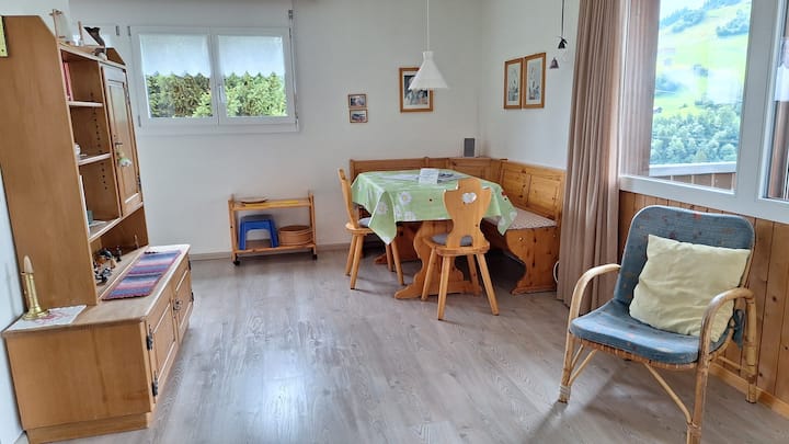 Sunny Cozy Apartment - Disentis/Mustér