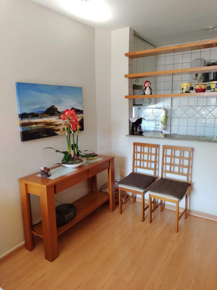 Apartamento Aconchegante Em Botafogo - Rio de Janeiro