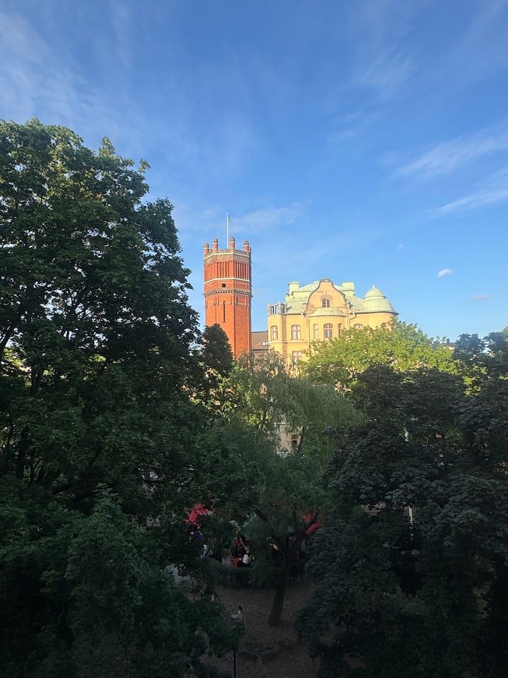 Dreamy Pad Overlooking Mosebacke Torg - Sztokholm