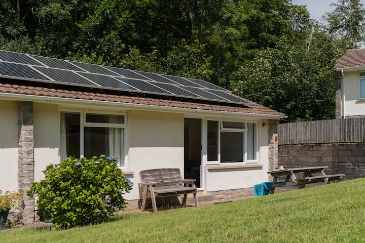 Quiet, Relaxing, Private Woodland Walks-woolacombe - Woolacombe