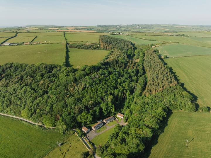 Quiet, Relaxing, Private Woodland Walks-woolacombe - Barnstaple