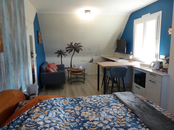 Grde Chambre-salon Petit Déjeuner Inclus - Dinard