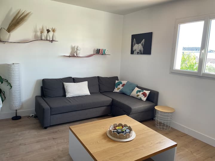 Appart Indépendant  Spacieux Lumineux - Colomiers