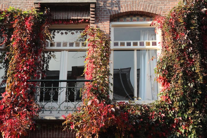 Bright Apt. Near Major Art Museums And Vondelpark - Ámsterdam