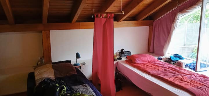 Novovento Guesthouse - Shared Room - Açores