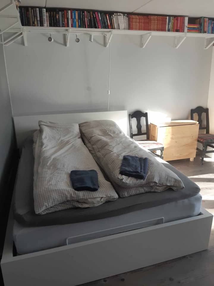 Room Close To Citytsenter - Oslo