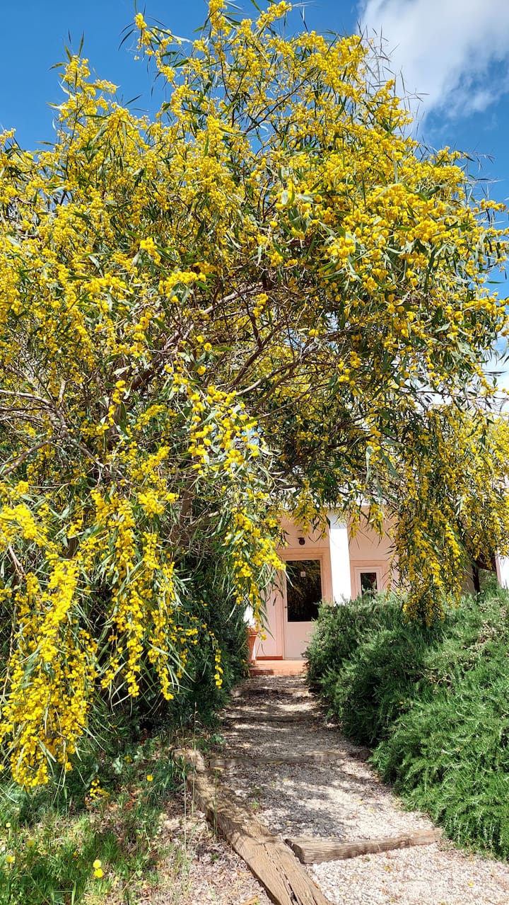 Casa Solaria - Cisternino