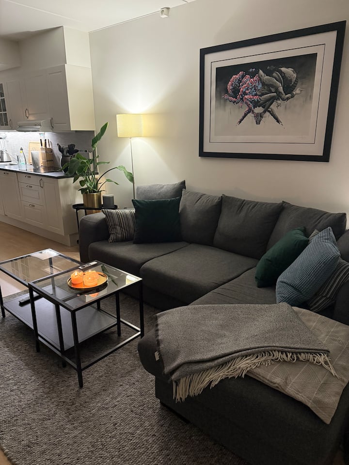 Welcome To A Particularly Stylish 2 Room Apartment - Oslo