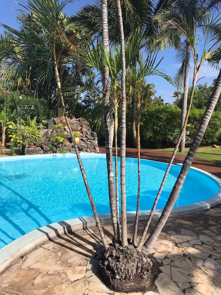 Studio Piscine - Saint-Gilles