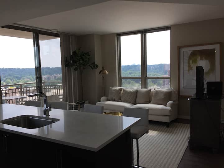 Few Minutes Walk To Metro & Whole Foods - Parking! - Arlington, VA