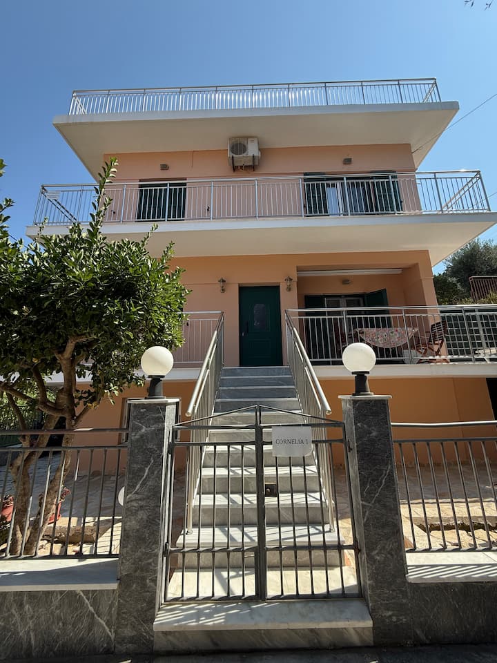 Holiday Greenery In Cornelia 1 - Paxi