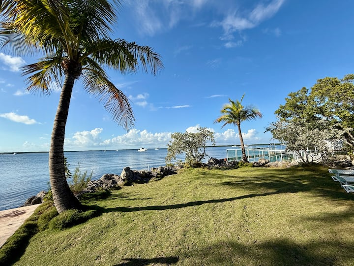 Bay Sunsets Free Kayaks/paddleboard Jacuzzi - Key Largo, FL