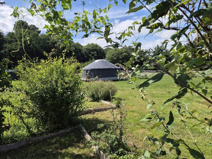 Yourte Castanea - Bourgueil