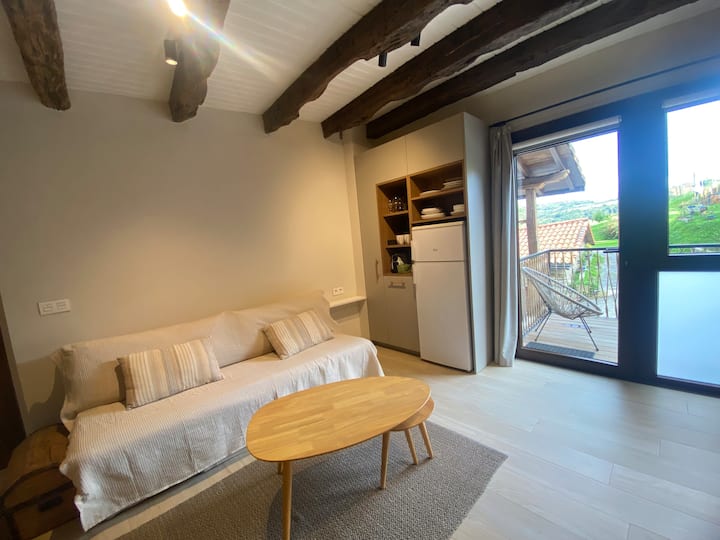 Disfruta De Nuestro Acogedor Loft Diáfano De 40m². Comodidad Y Relax. - Tolosa