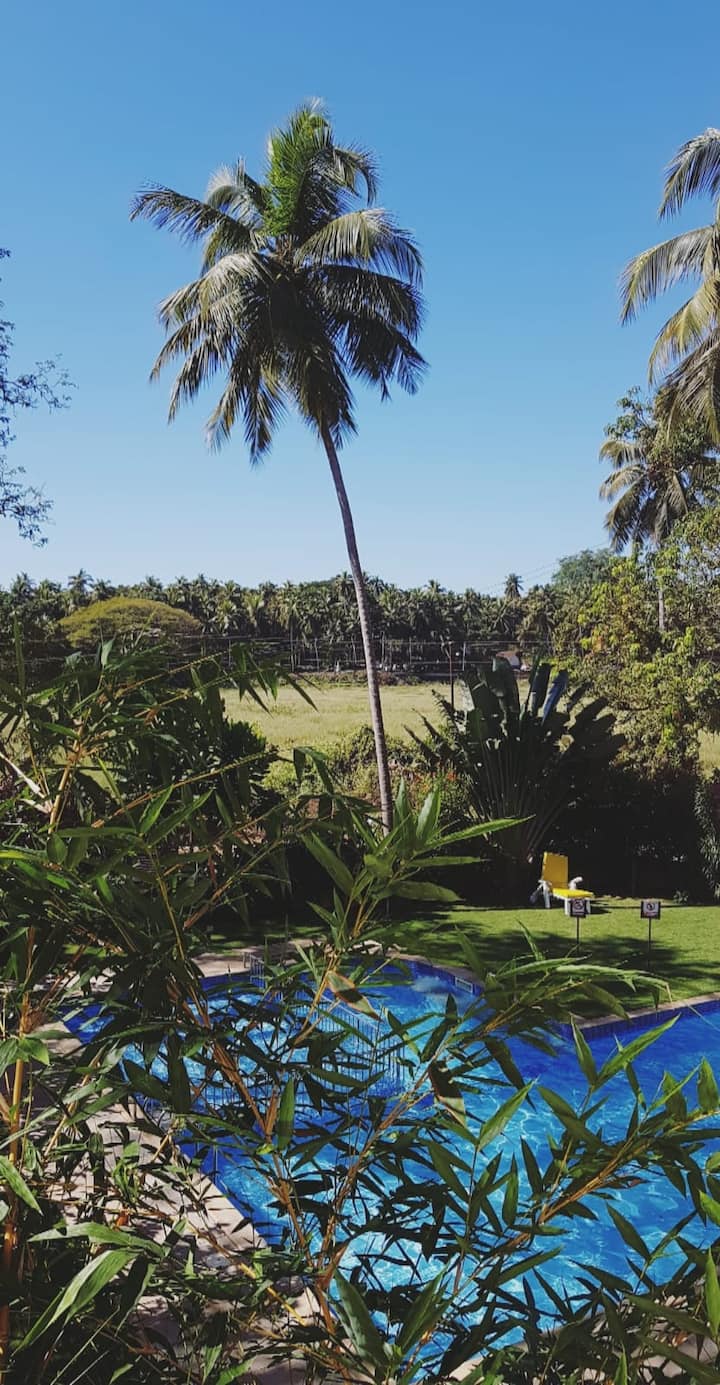 The Little Paradise - Goa