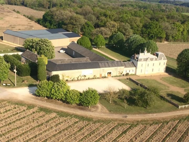 Le Vignoble Du Château De L'aulée, Gîte Et Détente - Indre-et-Loire