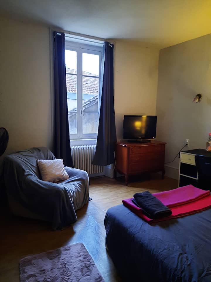 Chambre Dans Un Appartement De Ville - Saint-Vallier