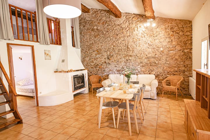 Gite La Roche Bleue Sigalous - La Crau