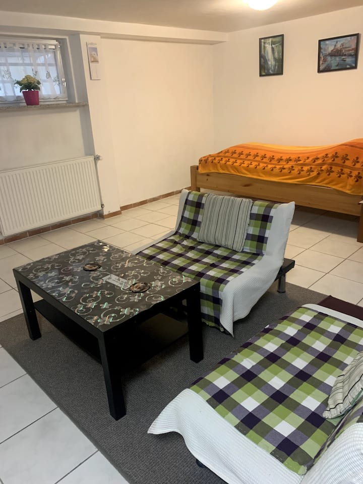 1-room  Souterrain Apaterment - Heidelberg