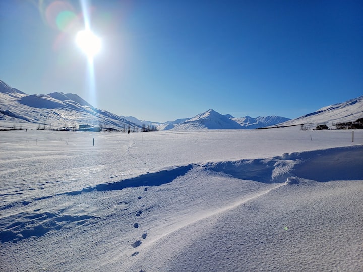 Ski/hiking And Birdwatching Paradise - Islande