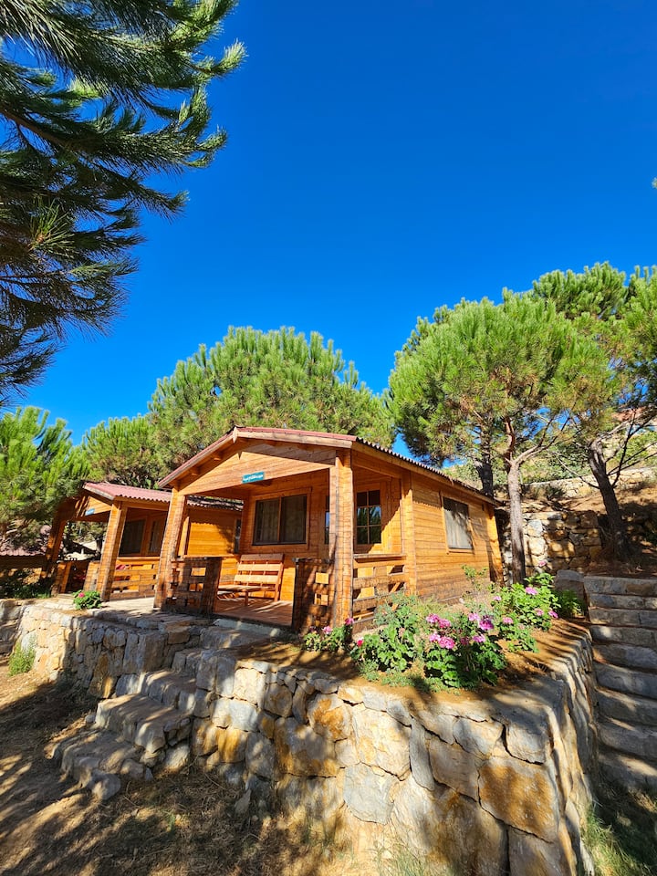 Cabin 2 - Farmville Barouk - Li-băng