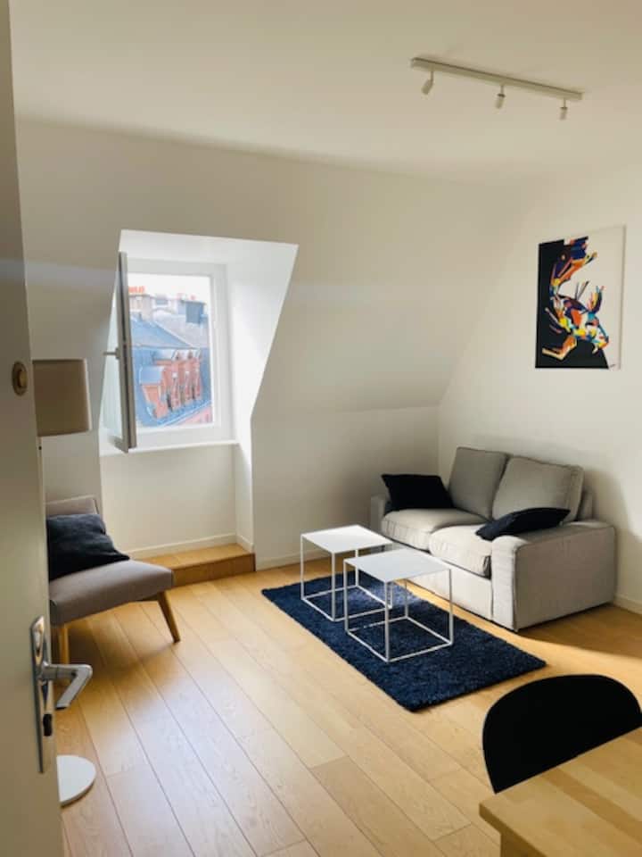 L'appart De Charles Hyper Centre De Rodez - Rodez