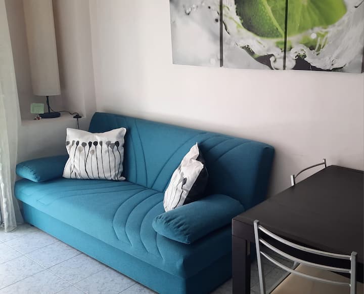 Near Metro You Arrive In The City Center In 10' - Turin