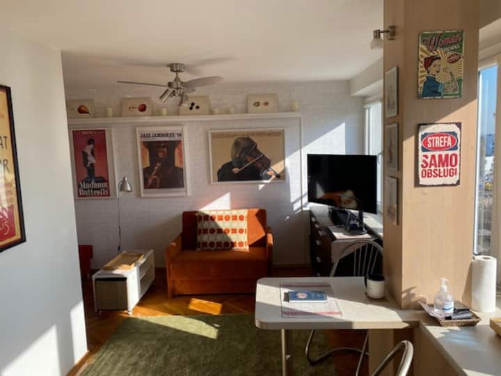 Great Cozy Studio Apartment