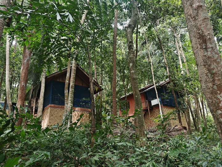 Jungle View Bungalow | Pyramid - Ko Pha-ngan