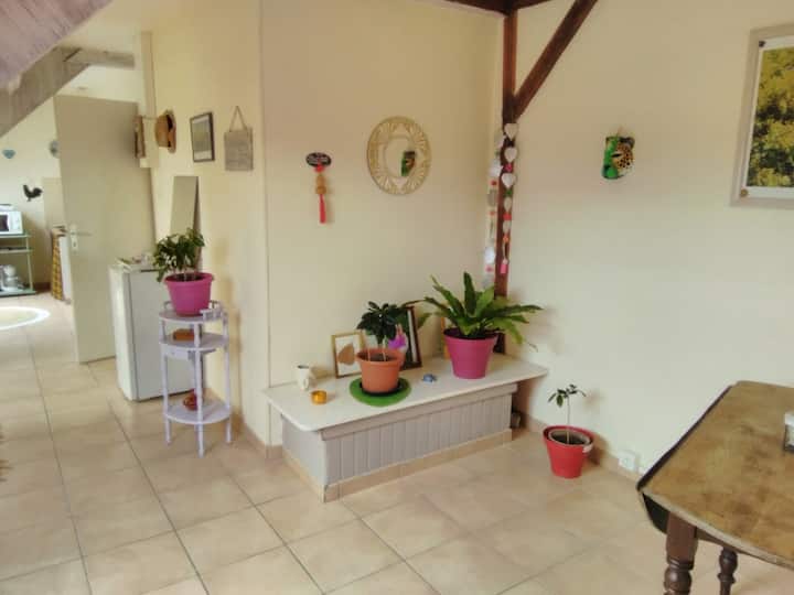 Appartement Plein Sud Nature Et Bord De Mer - Groix