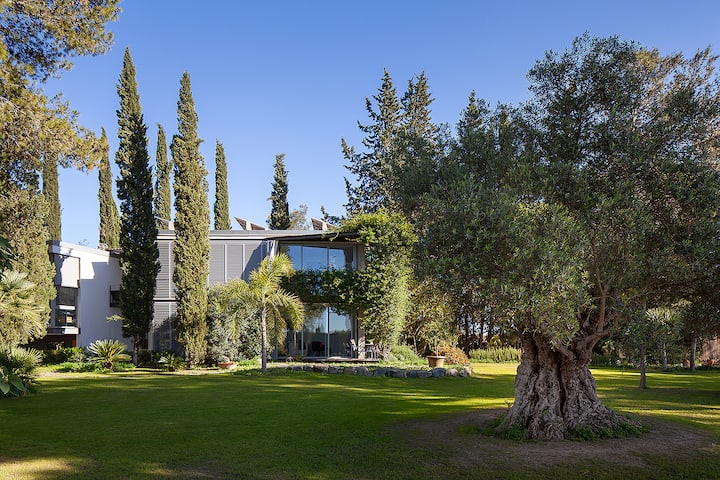Appartement En Pleine Nature Près De Séville - Aljarafe