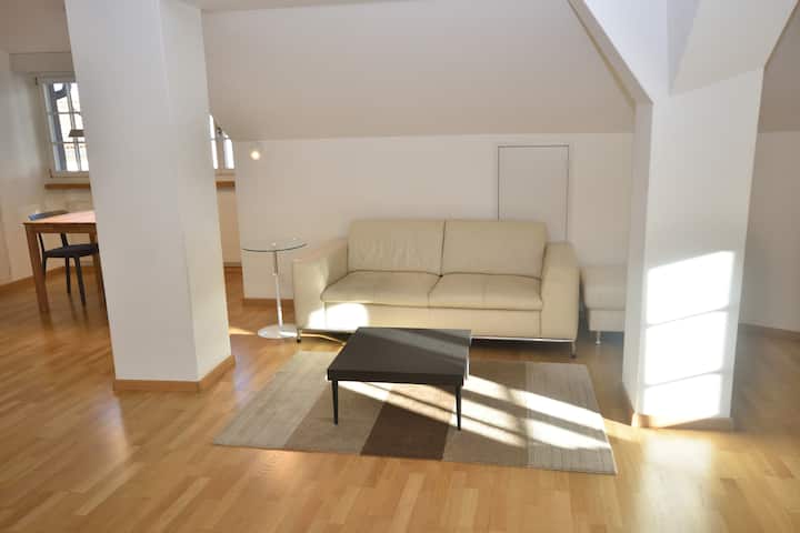 Loft In The Historical Center (Symbol 4) - Zürich