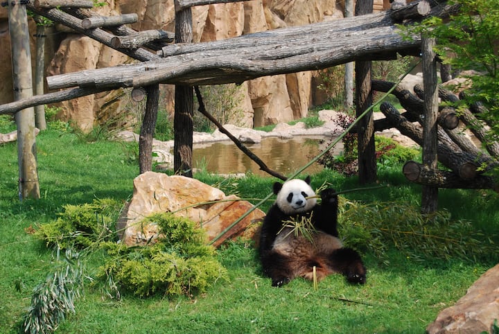 La Colardine Proche Beauval Et Châteaux Loire 3* - Loir-et-Cher