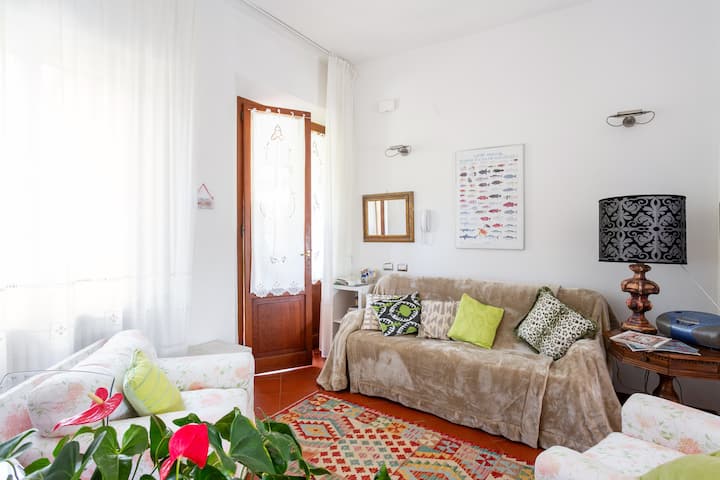 I Gelsomini - Whole Apartment - Siena