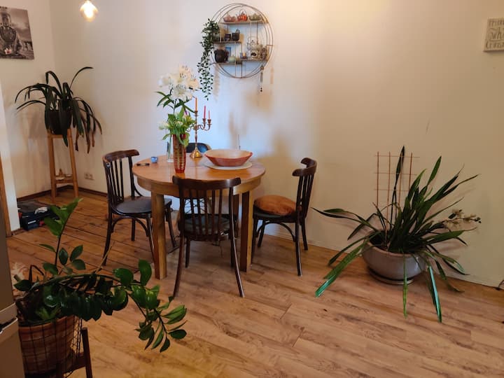 Sunny Room In Riga Hipster Neighborhood - Riga