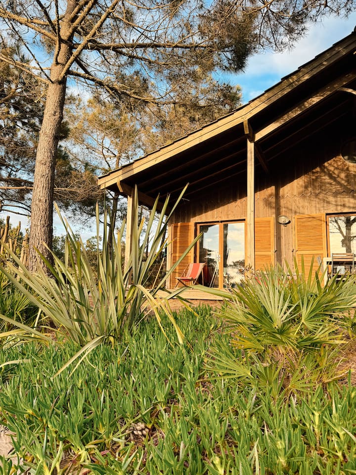 Belle Villa En Bois,à 50m De L'océan, Proche Phare - Cap Ferret