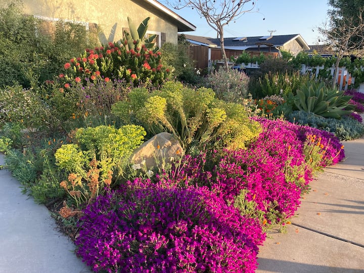 Beach Cottage Near Beach With Indoor/outdoor Space - Carpinteria, CA