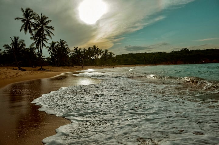 Beach Villa, Dorado, Sabana,00646 - Puerto Rico