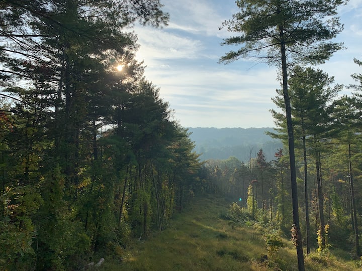 Modern Secluded Log Home On The Kaaterskill Creek! - Catskill, NY