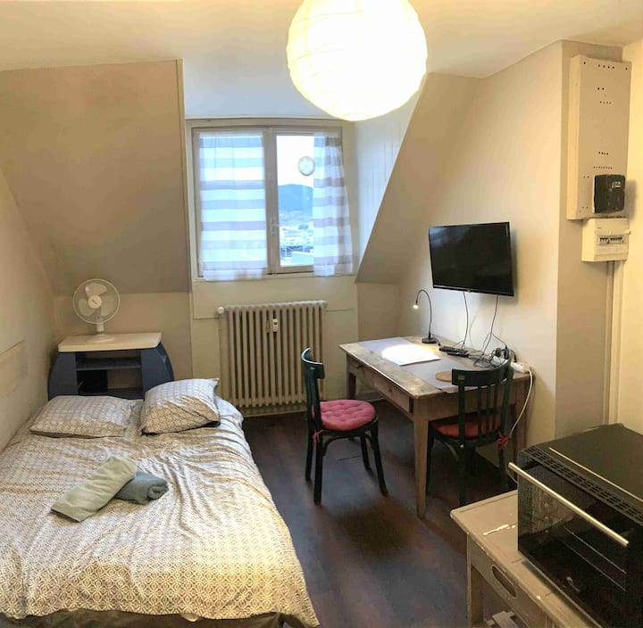 Studio "Léman" - La Motte-Servolex